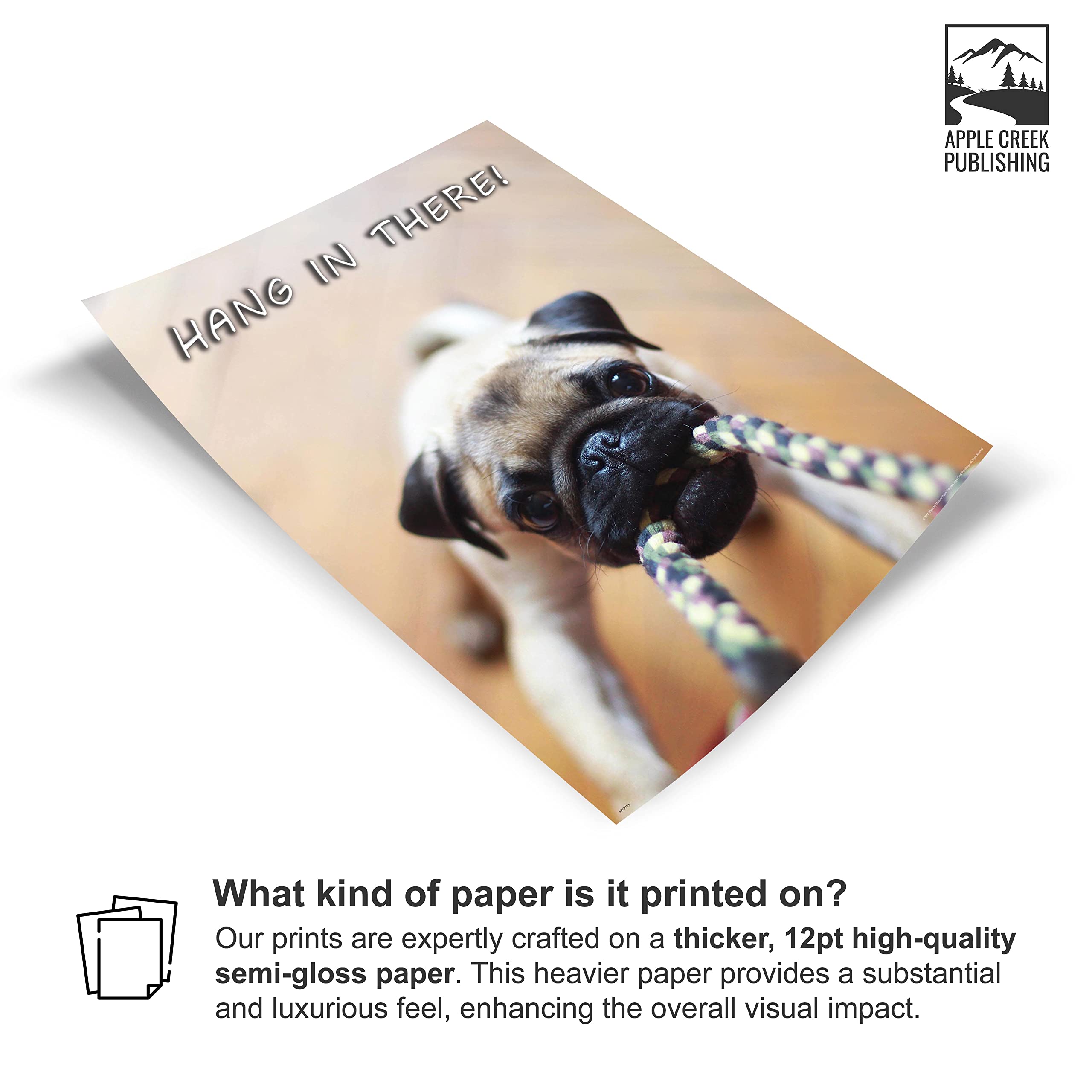 Hang In There Puppy Poster