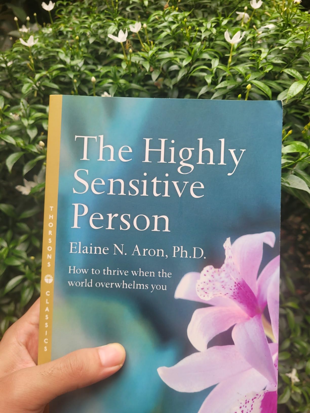 The Highly Sensitive Person: How to Surivive and Thrive When the World ...