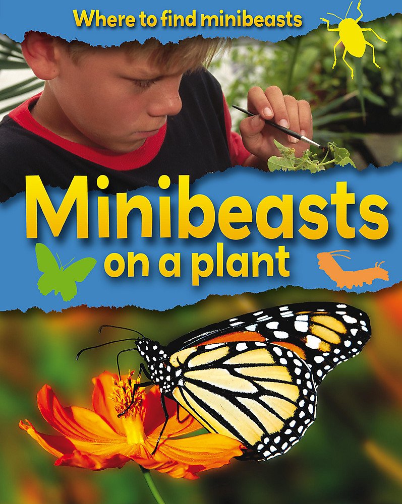 Minibeasts on a Plant (Where to Find Minibeasts): Sarah Ridley ...