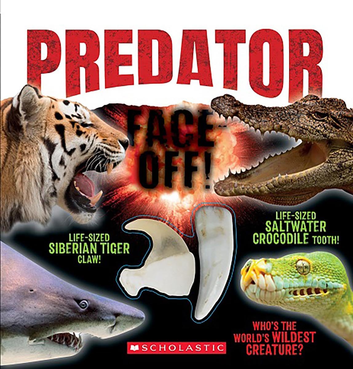 Predator Face-Off!: Farbey, Miriam: 9781338890297: Amazon.com: Books