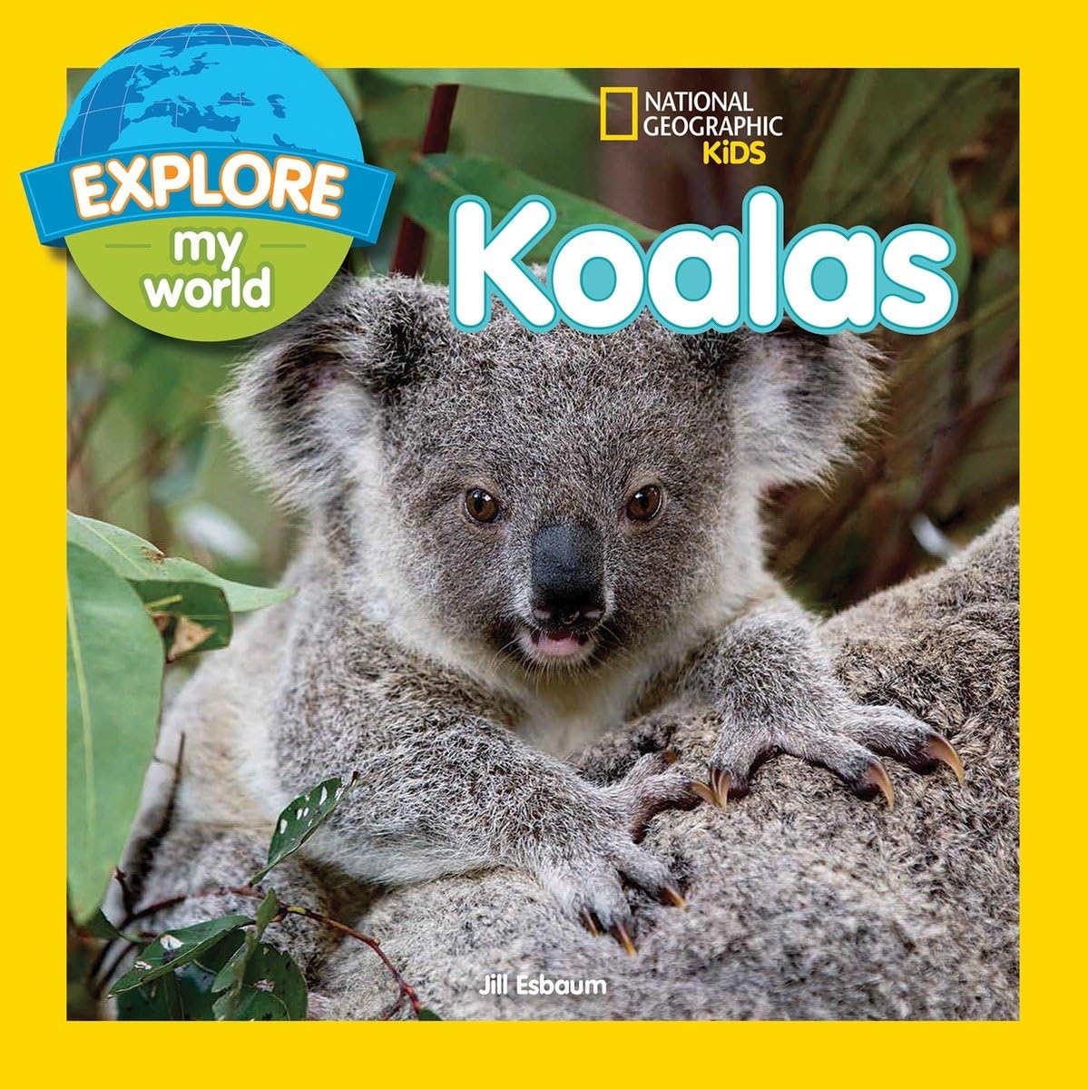 Koalas (National Geographic Kids: Explore My World) : Esbaum, Jill ...