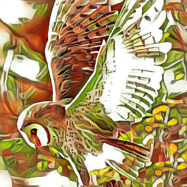 Amazon.com: Melody Styles: books, biography, latest update