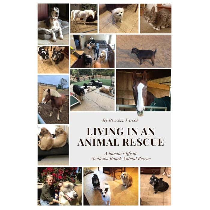 Buy Living in an Animal Rescue: A human's life at Modjeska Ranch Animal ...