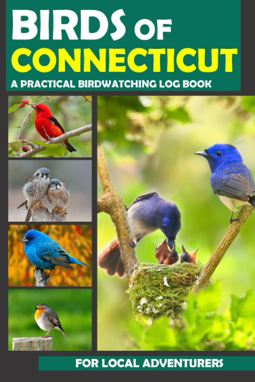 Birds of Connecticut: Bird Watching of Connecticut Log Book for Local ...