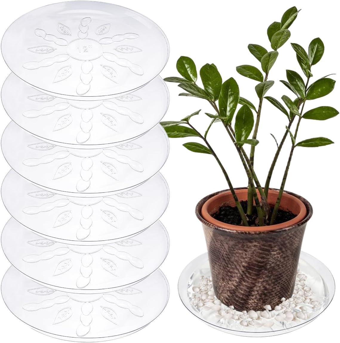 Amazon.com : ANPHSIN 12in Heavy-Duty Plant Saucers with Feet, Clear ...