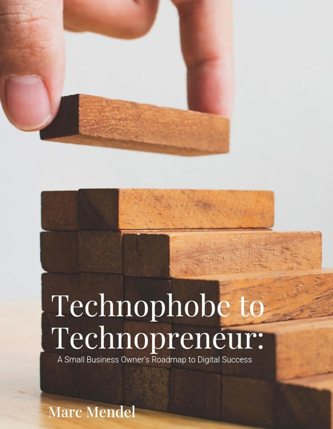 Amazon | Technophobe to Technopreneur: A Small Business Owner's Roadmap ...