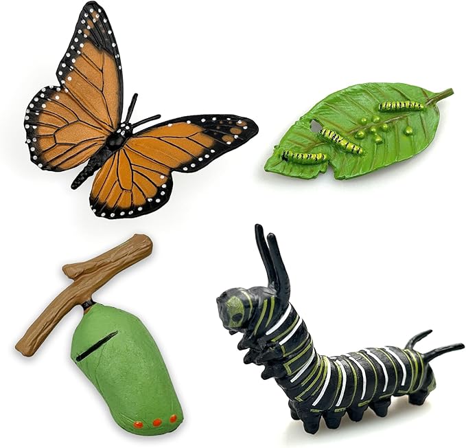Amazon.com: MEMOVAN Butterfly Life Cycle Toy Figurines 4pcs Realistic ...