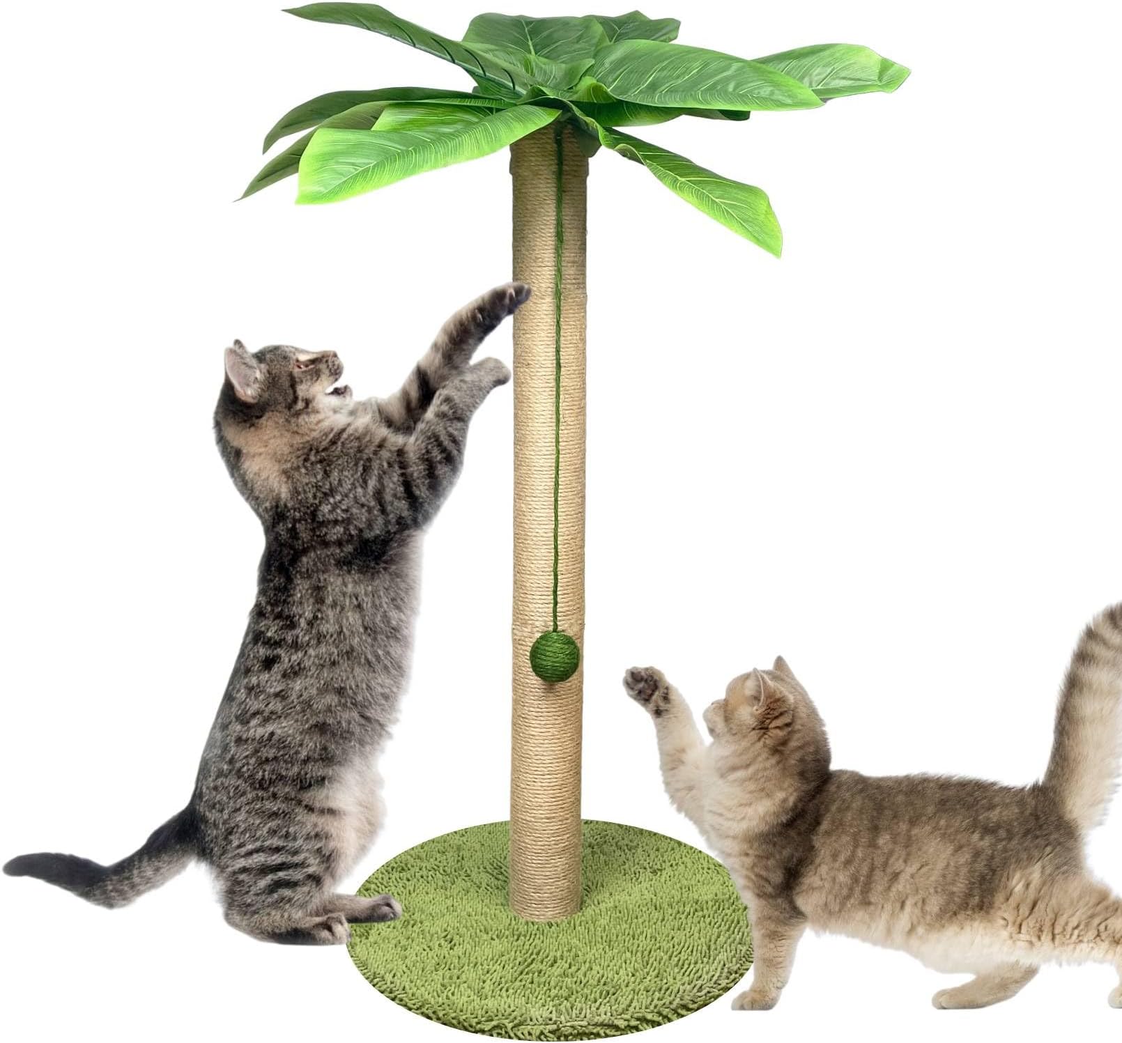 Amazon.com: Fhiny Cat Scratching Post, 31" Tall Scratch Tree Natural ...