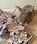 The Rabbit Problem : Emily Gravett, Emily Gravett: Amazon.co.uk: Books