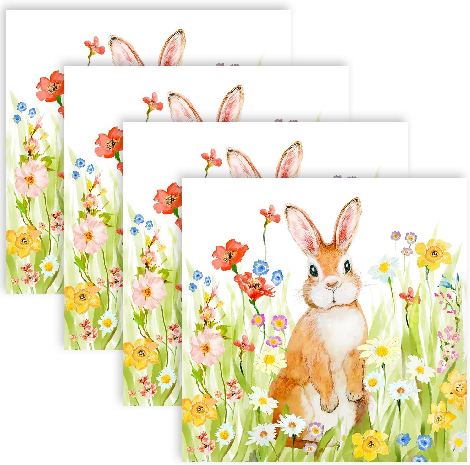 Amazon.com : Boston International IHR 3-Ply Paper Napkins Rosanne Beck ...