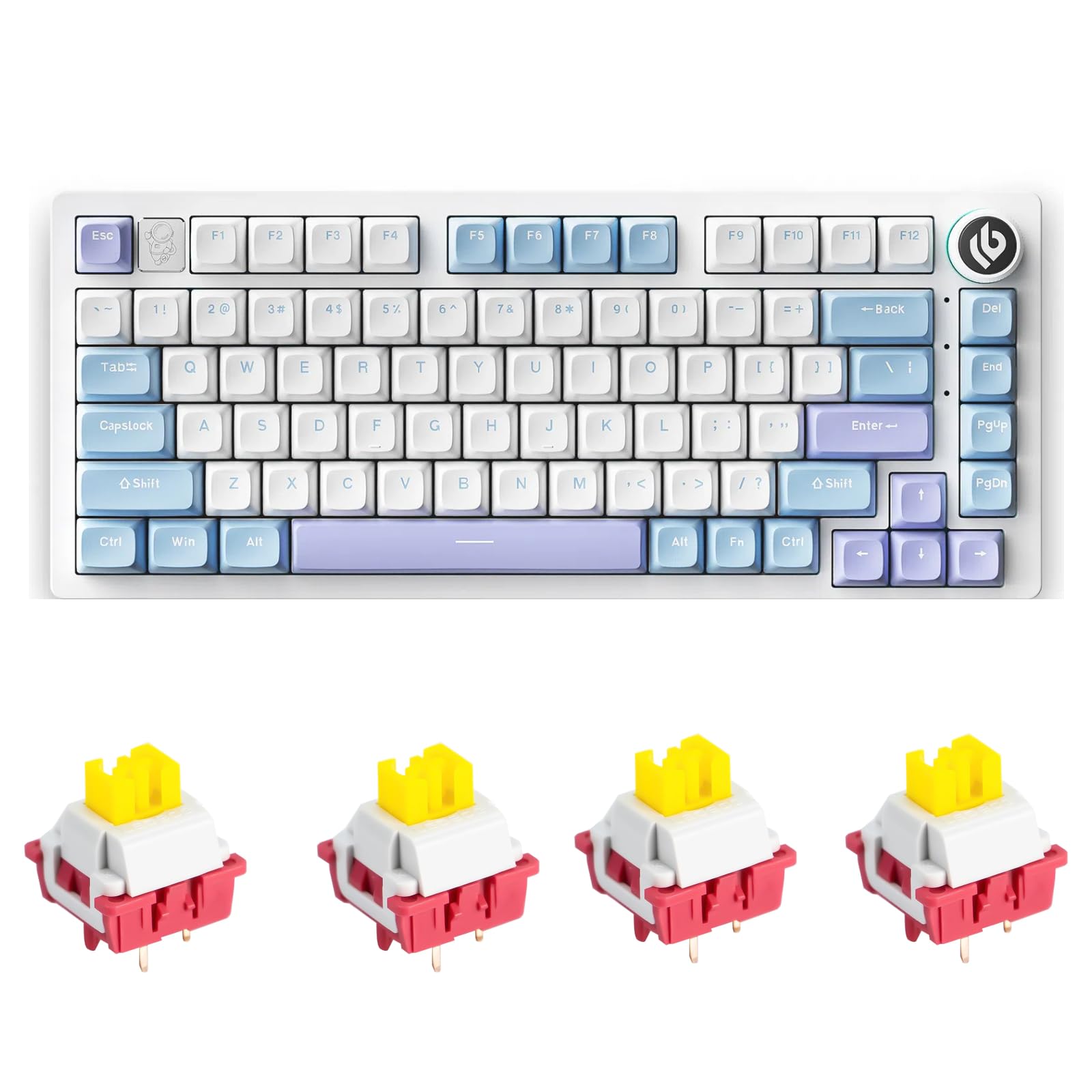 Amazon.com: LEOBOG Hi75 Mechanical Keyboard 81 Keys with Nimbus V3 ...