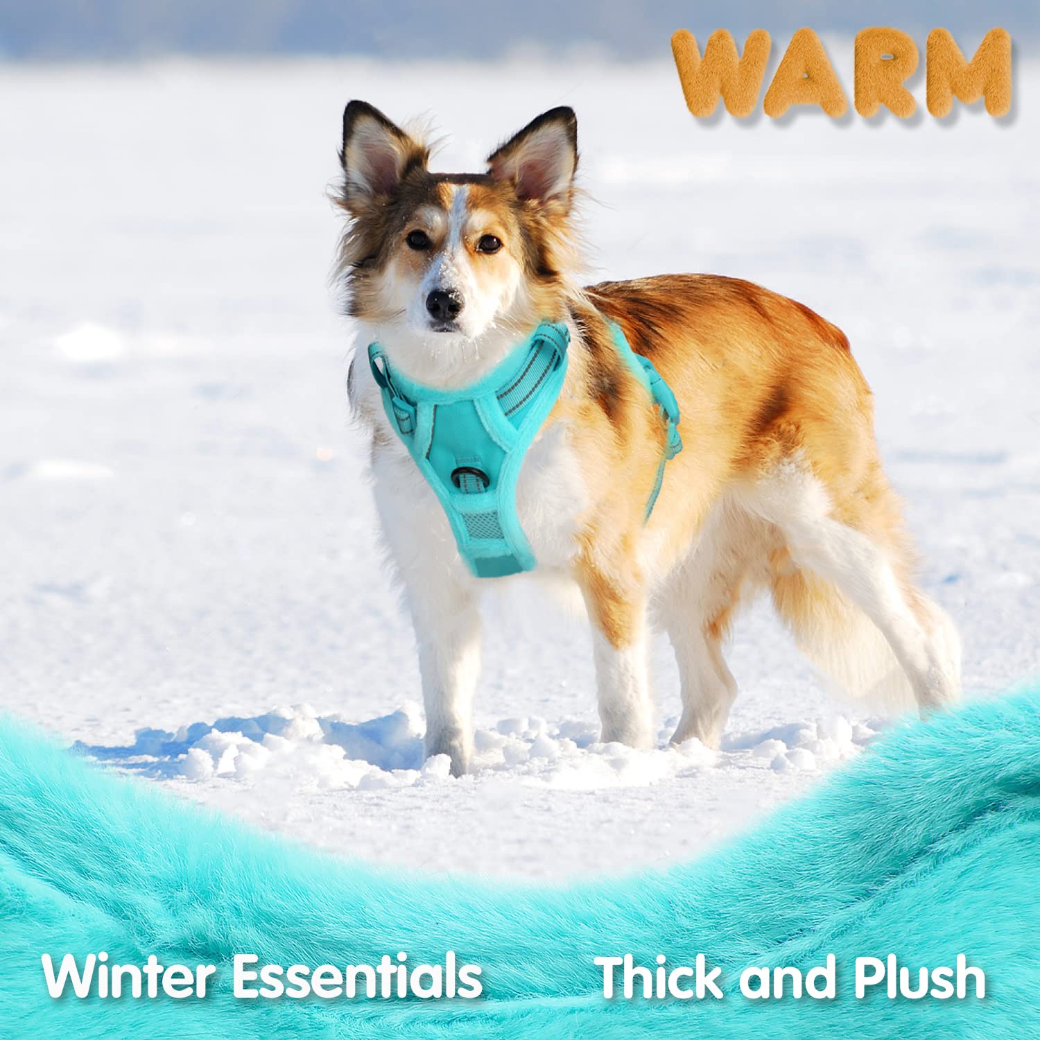 Snapklik.com : PoyPet Plush Dog Harness, Soft Padded No Pull Vest ...