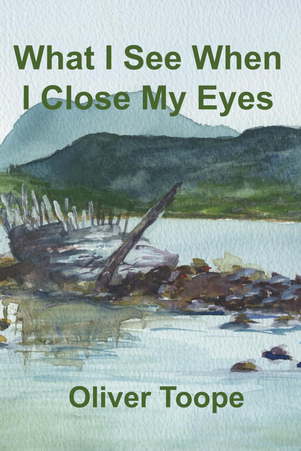 What I See When I Close My Eyes: a memoir: Amazon.co.uk: Toope, Oliver ...