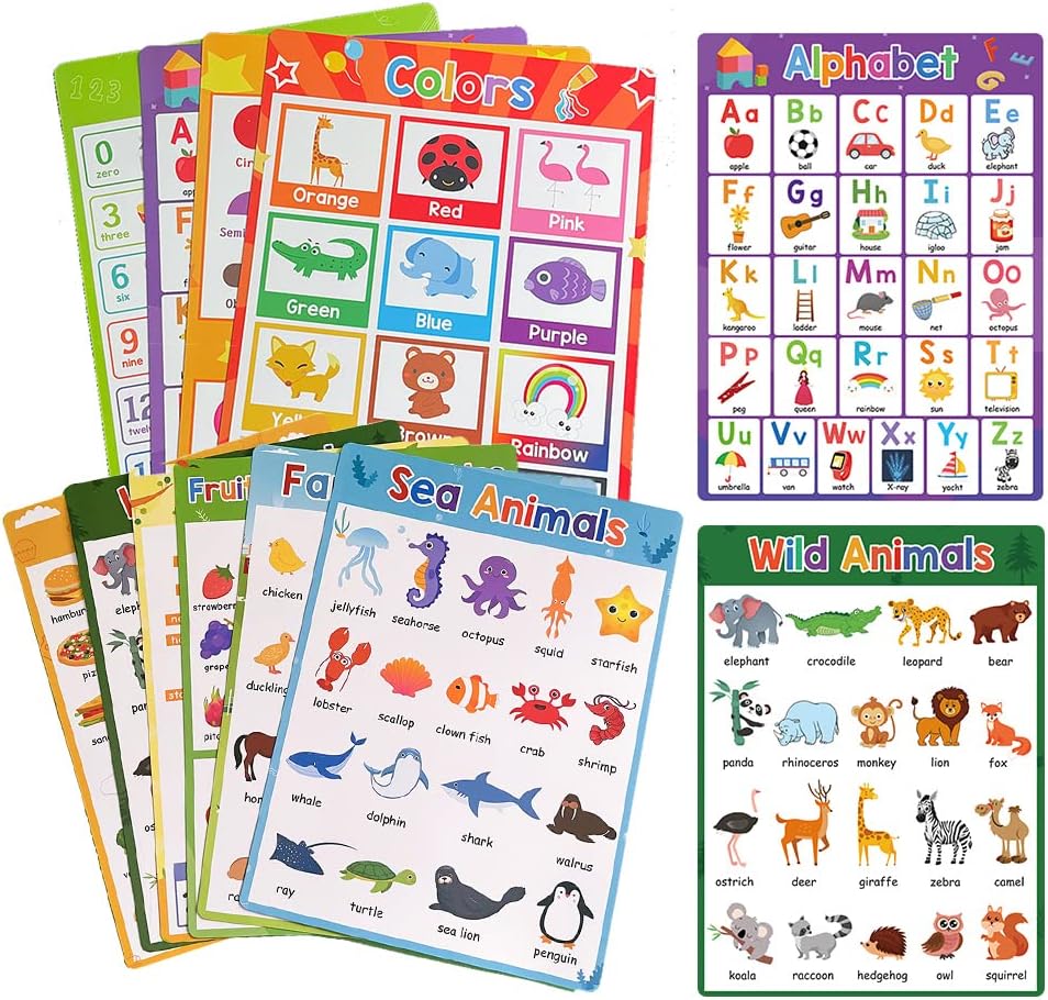 Amazon.com: Lachilly Pre-Primer Fun Learning Poster Flash Cards ...