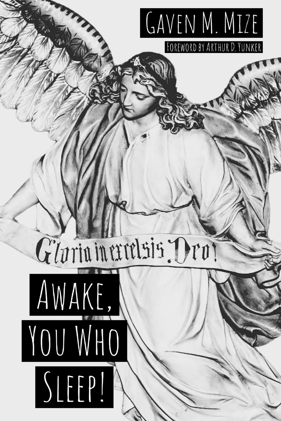 Awake, You Who Sleep: The Advent of the Christ: Mize, Gaven ...