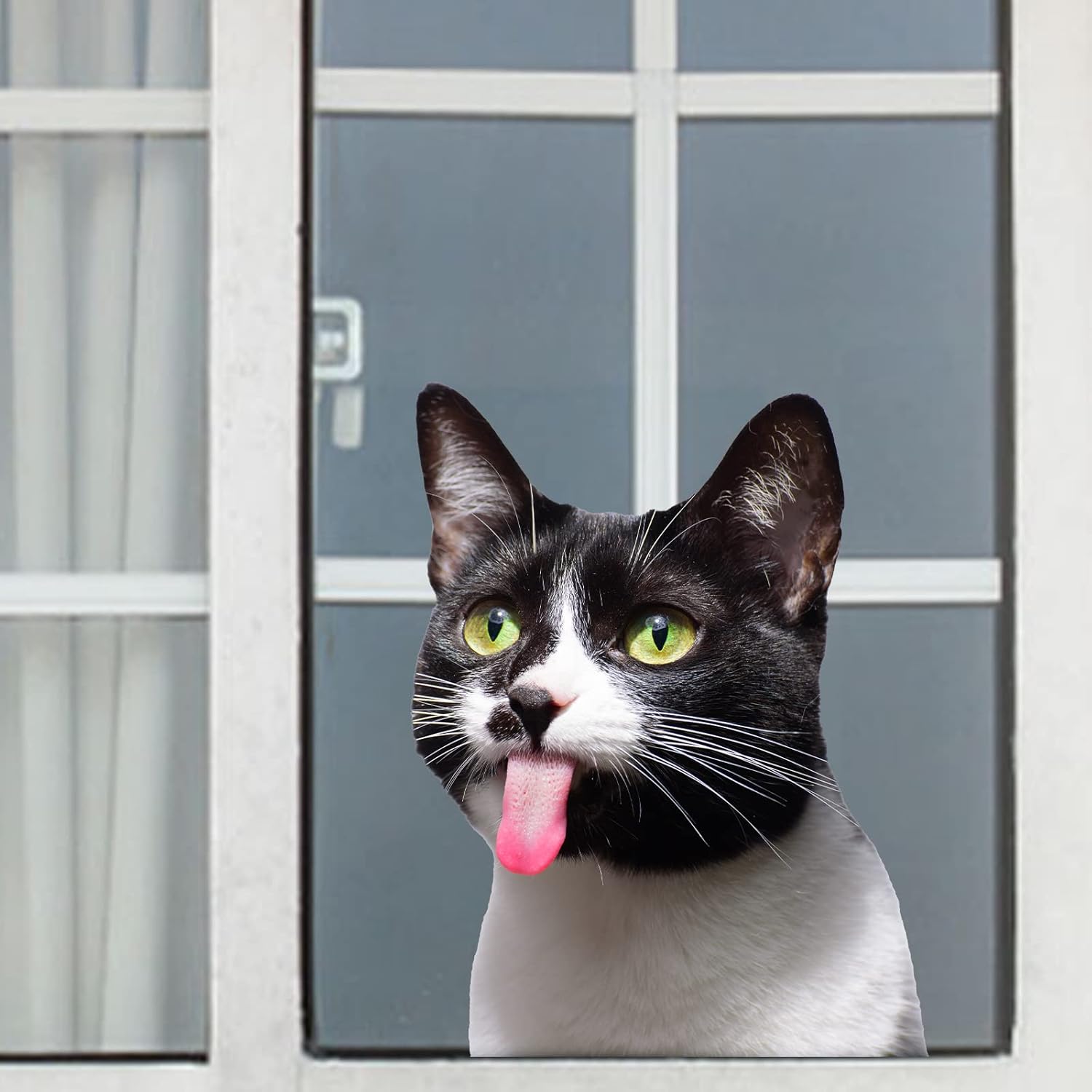 Amazon.com: Funny Cat Window Decor Cling Dairy Cattle Wall Stickers ...