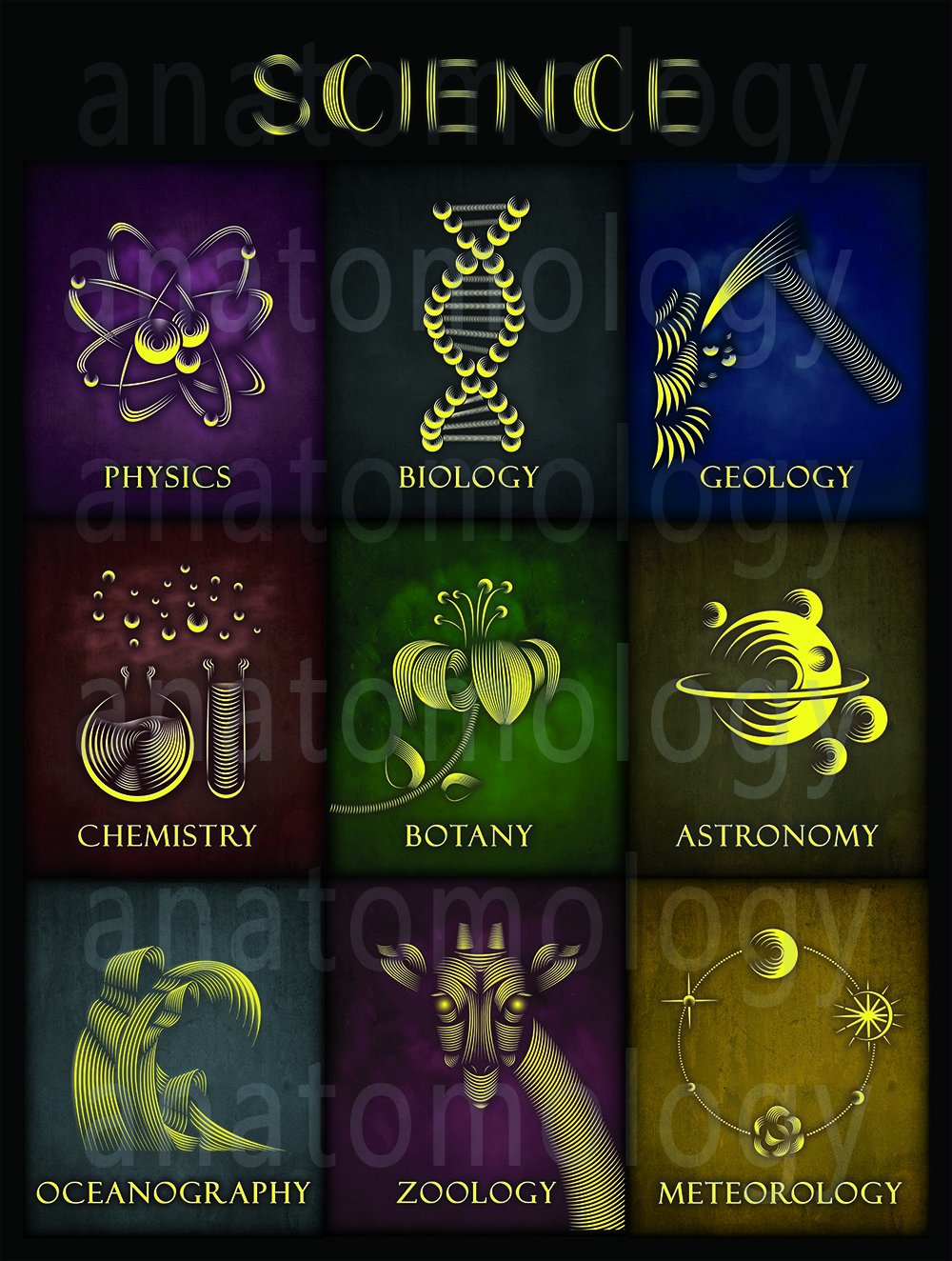 Amazon.com: Scientific Fields Poster Science Specialties Poster ...