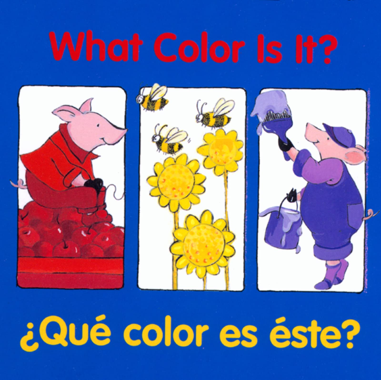 Amazon.com: What Color Is It?/¿Qué color es éste?: Bilingual English ...