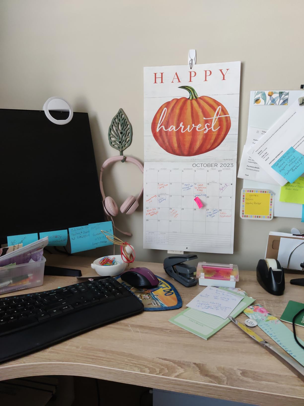 Amazon.com: The Bridge Collection Cast Iron Leaf Hook for Wall - Metal ...