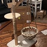 Amazon.com : Xiamiao 50" Tall Cat Tree Tower, Modern Cat Tree for Indoor Cats, Washable Wooden ...