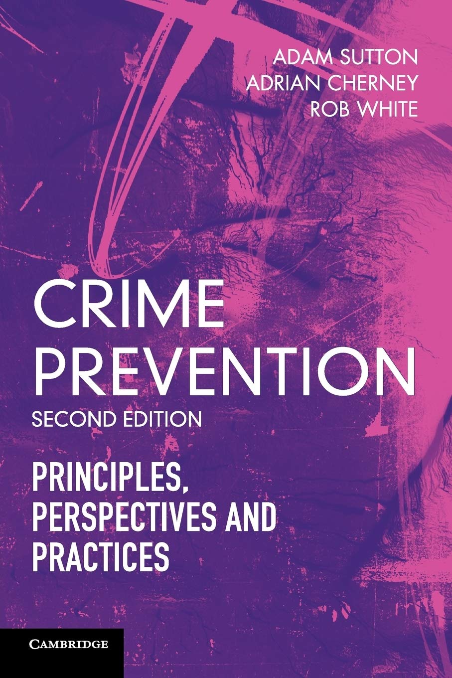 Crime Prevention: Principles, Perspectives and Practices - Sutton, Adam ...