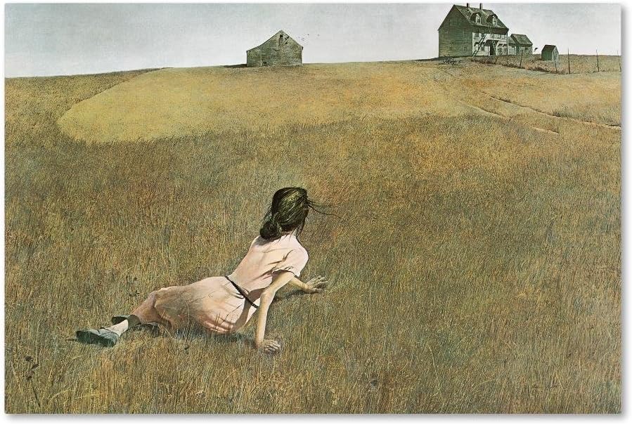 Amazon.com: Andrew Wyeth Christina's World Art Print Poster - 14x11 ...