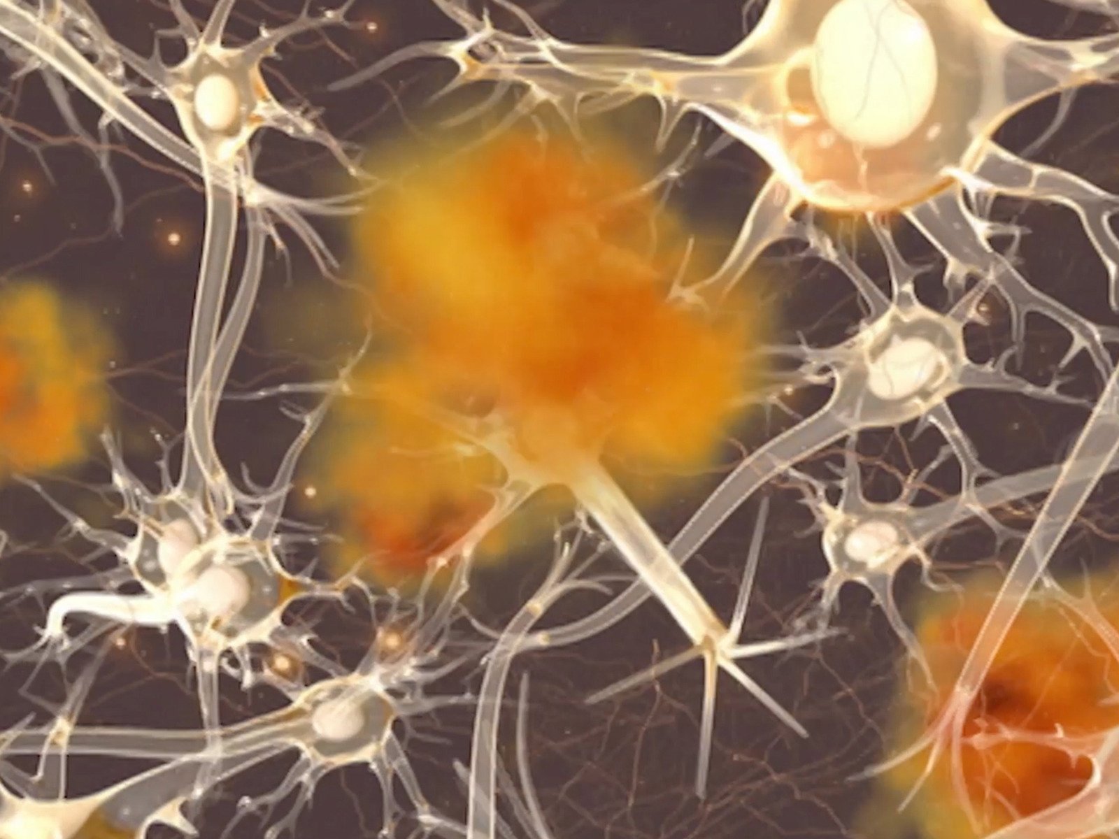 Watch Catalyst Season 1 | Prime Video