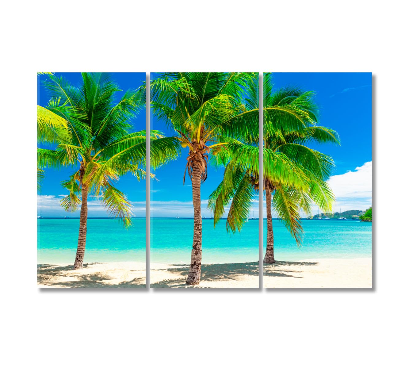 Playa Tropical Con