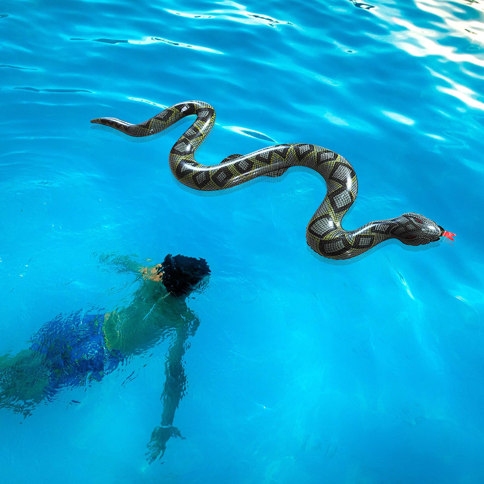 Pool Snake Float Collared Snake Floating On River Water Stock Photo