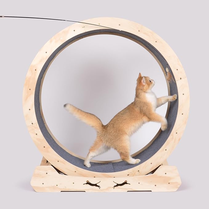 Amazon.com : KKHAN Cat Exercise Wheel, Cat Furniture, Indoor Cat ...