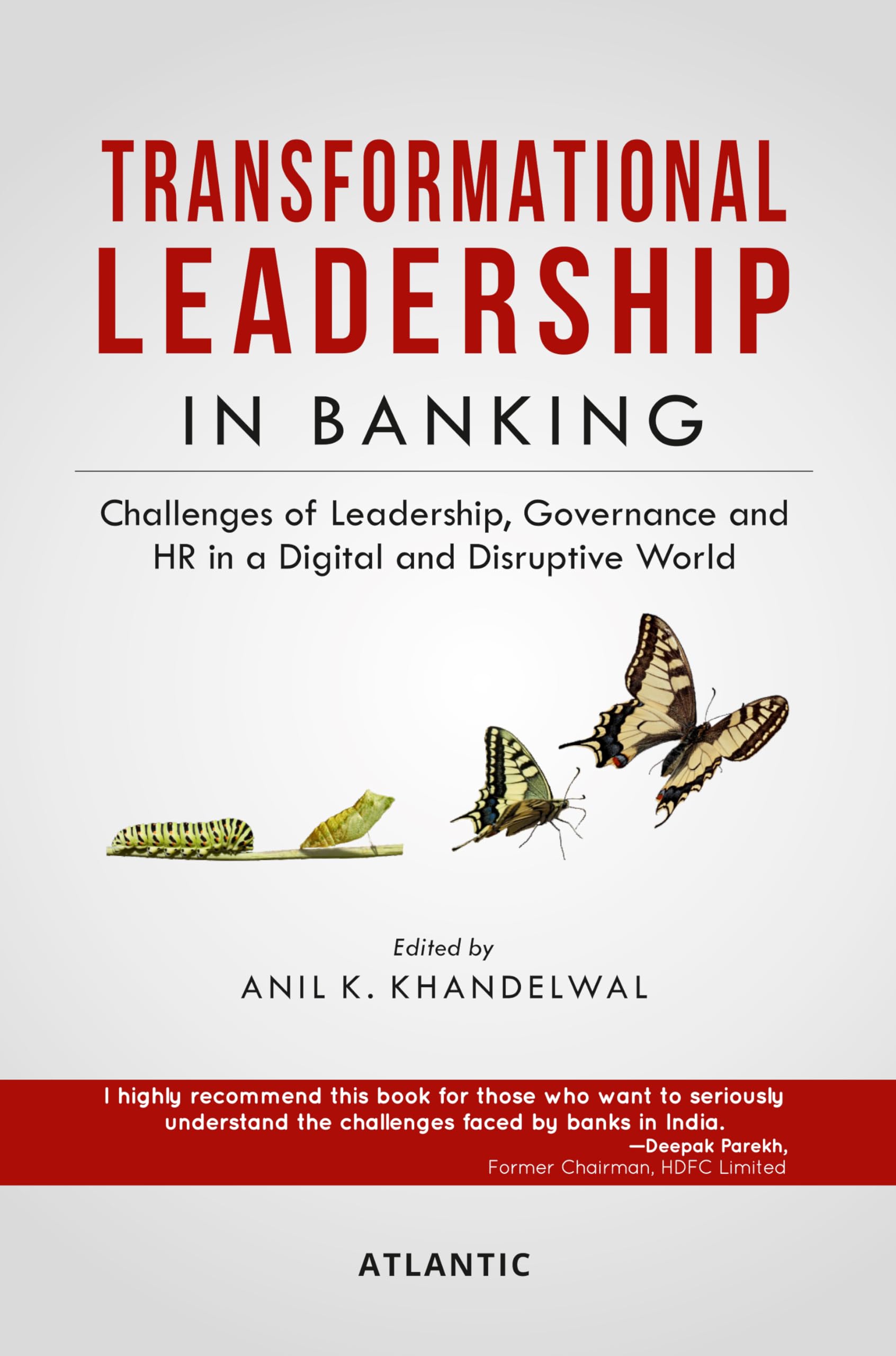 Buy Transformational Leadership in Banking: Challenges of Leadership ...