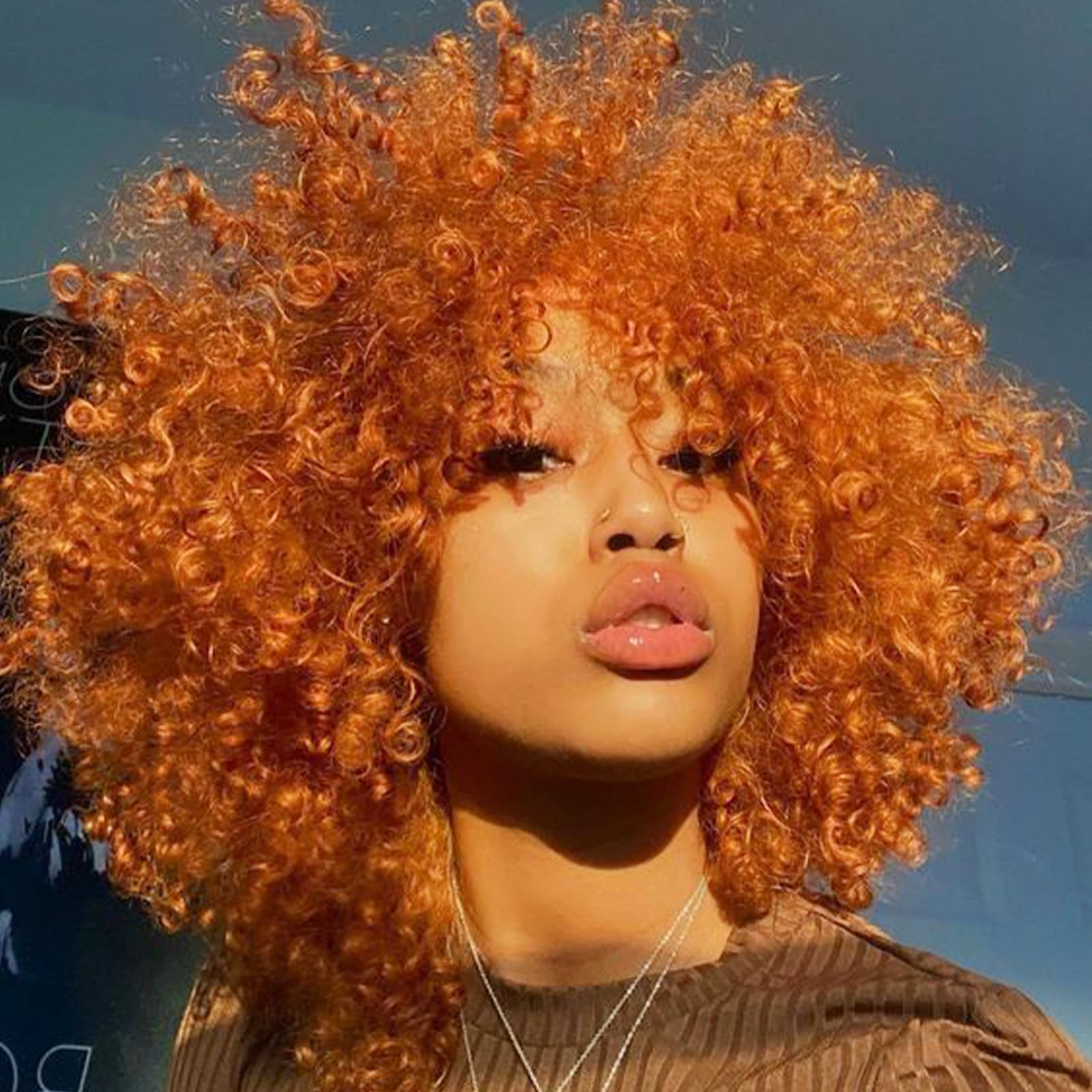 Amazon.com : Xinran Orange Afro Curly Wig for Black Women，14 inch ...