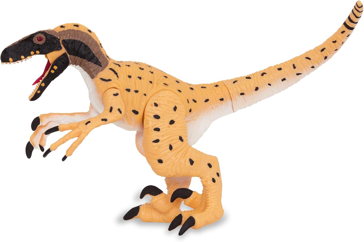 Amazon.com: Terra by Battat Dinosaurio electrónico con luz y sonido ...