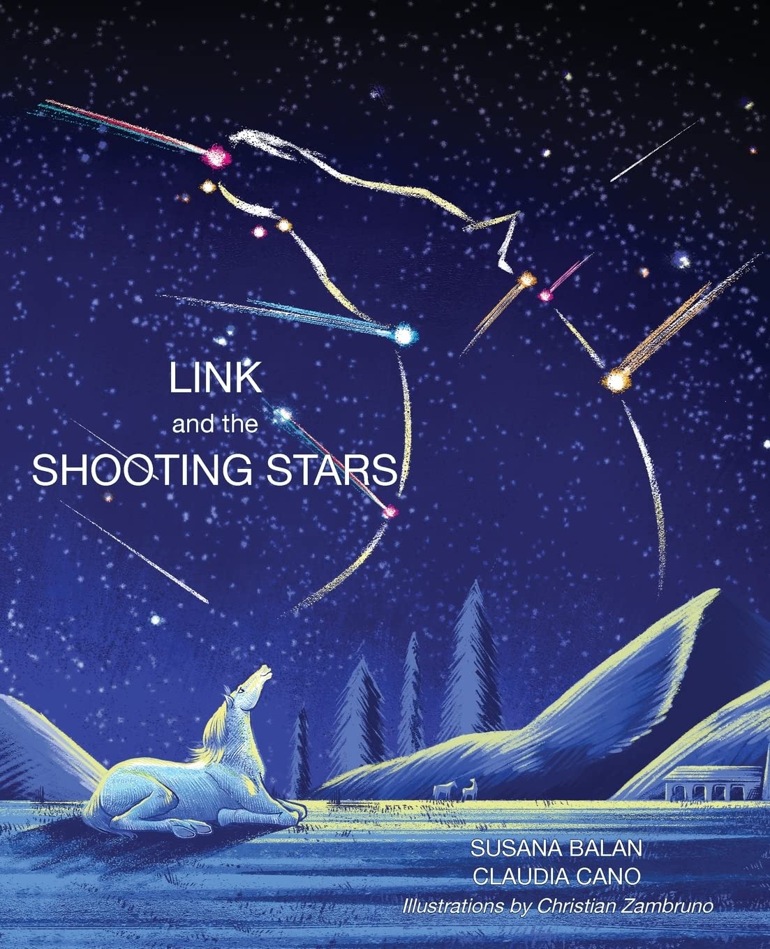 Link and the Shooting Stars: Balan, Susana, Cano, Claudia, Zambruno ...