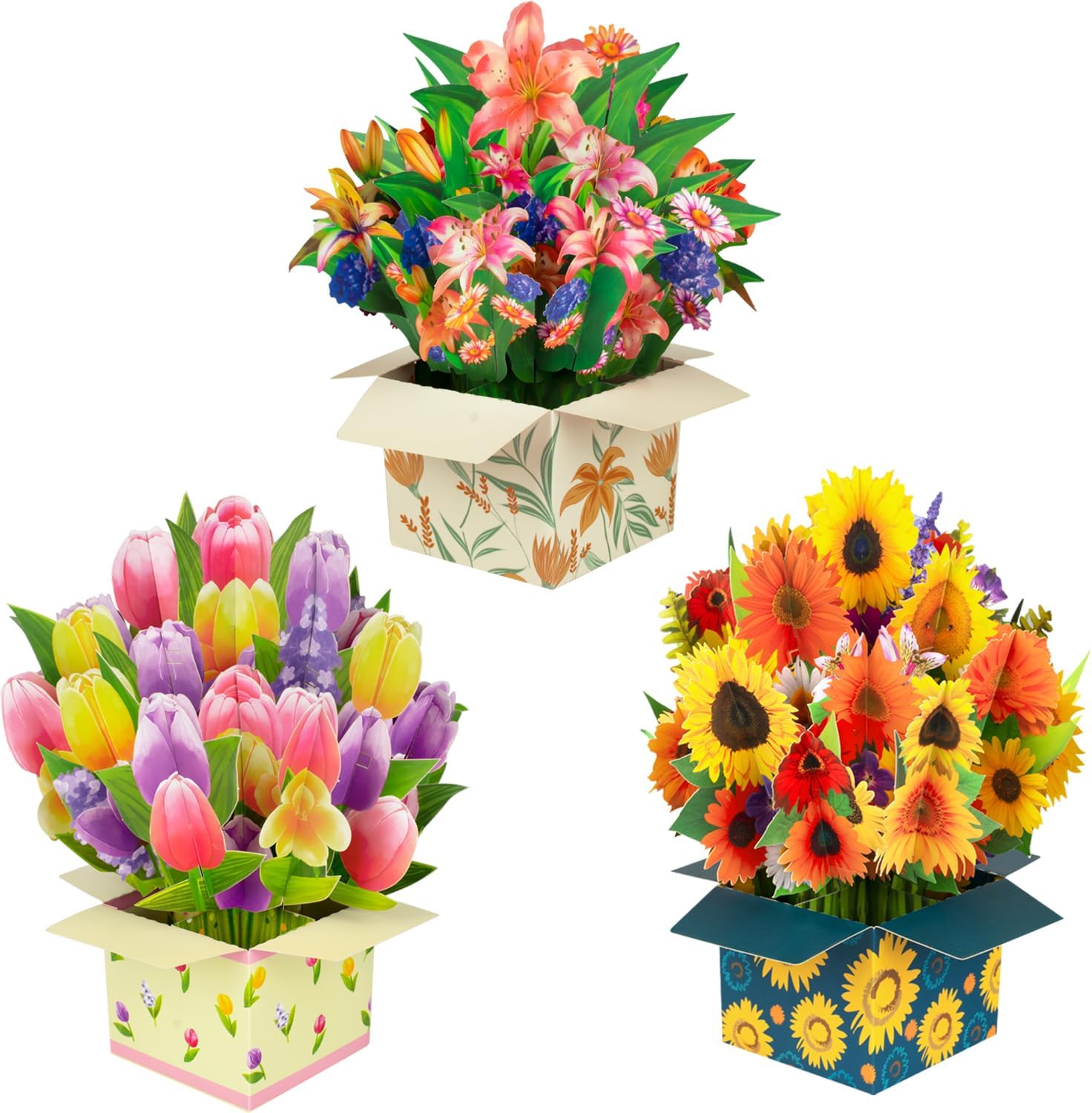 Amazon.com : Magic Ants Flower Paper Pop Up Cards - Sunflower+Tulip ...