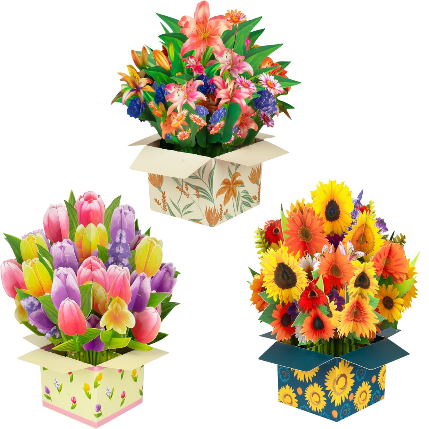 Amazon.com : Magic Ants Flower Paper Pop Up Cards - Sunflower+Tulip ...