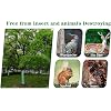 Amazon.com : EAVNCLG Plant Wrap, Premium Trunk Protector, Bush Bark ...