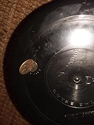 Amazon.com : Backpacker's Cache - Bear Proof Container : Bear ...