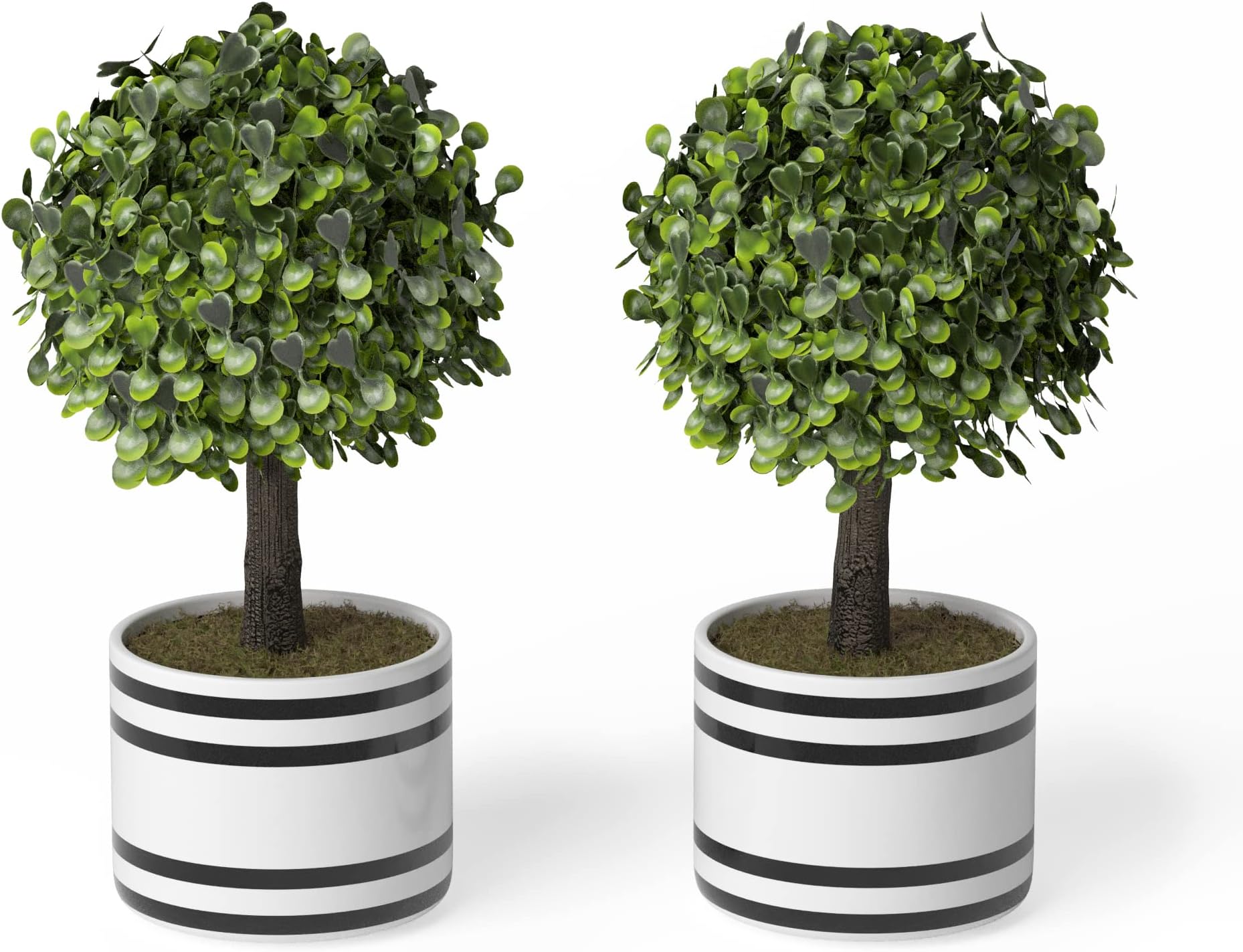 Amazon.com: NAPA Home & Garden Thyme Topiary 16" : Everything Else