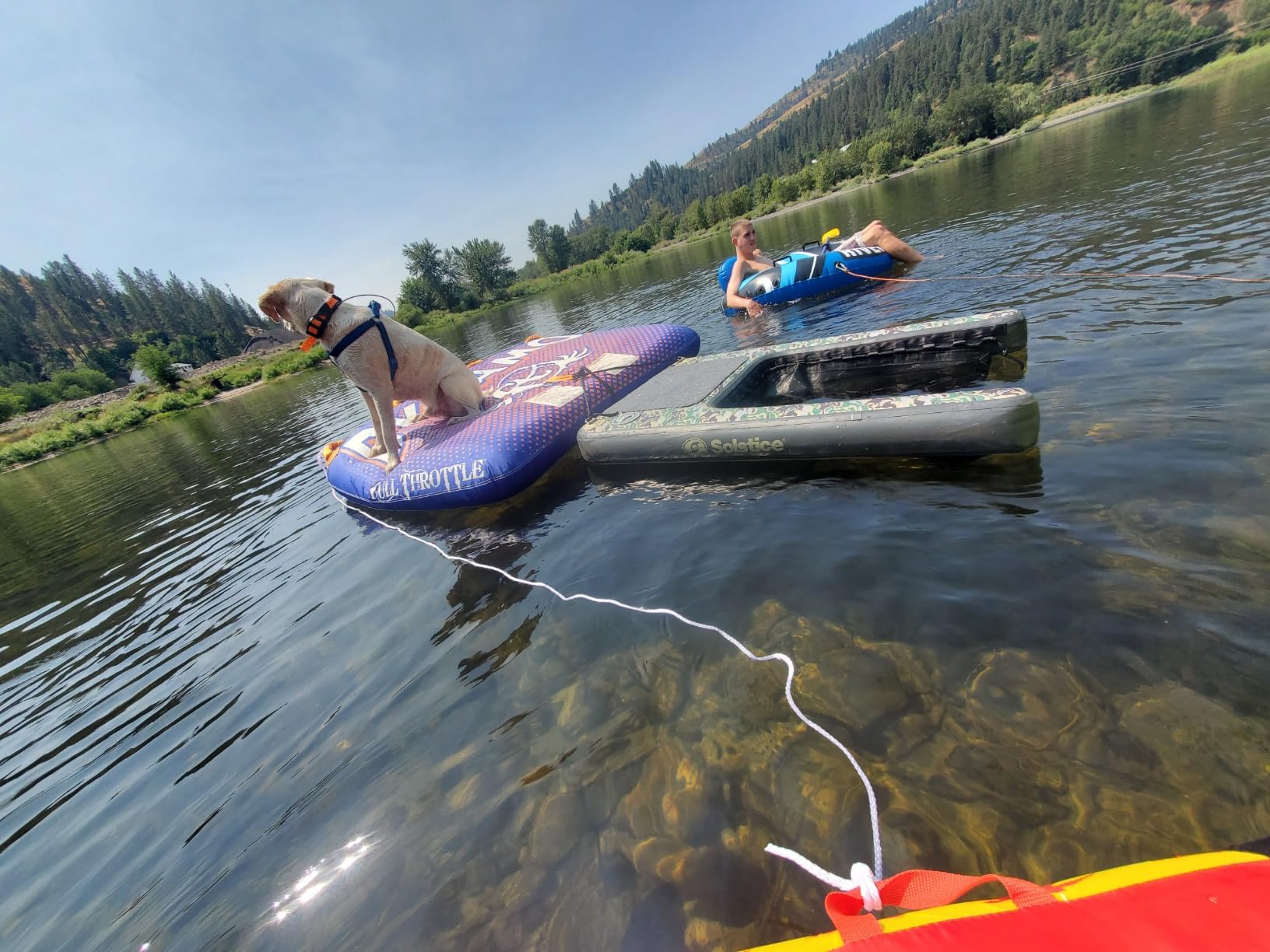 $28/mo - Finance SOLSTICE Inflatable Dog Water Ramp, Pup Plank Ladder ...