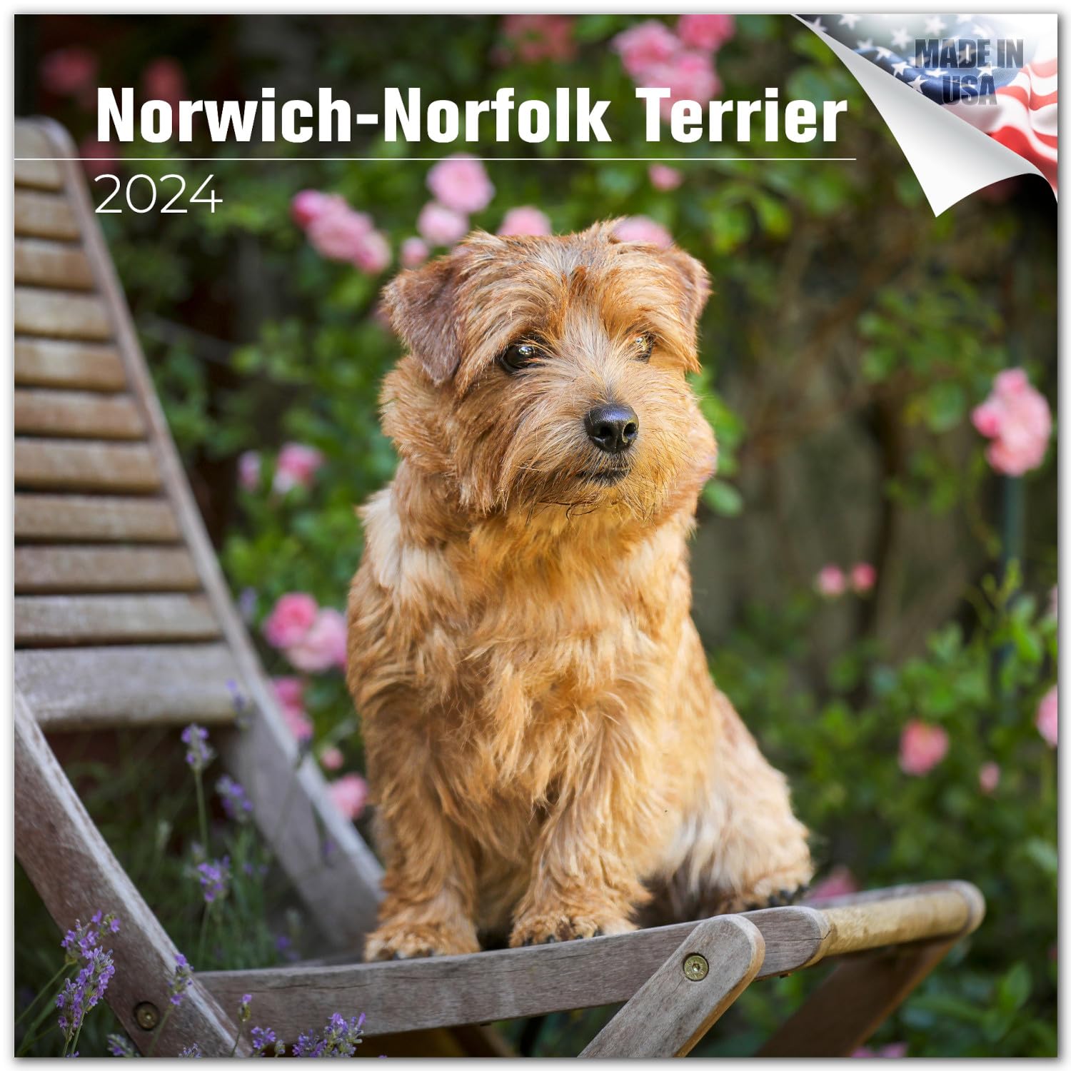 Snapklik.com : 2022 2023 Norwich,Norfolk Calendar,Dog Breed Monthly ...