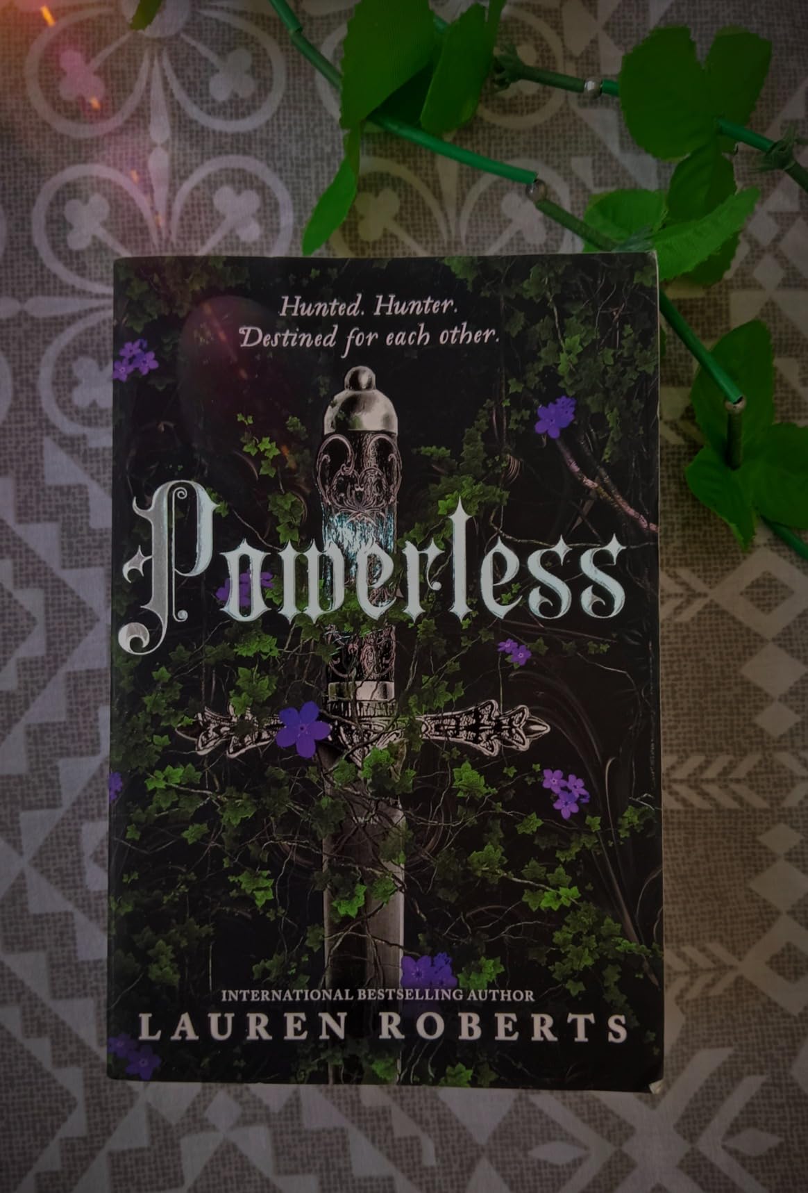 Powerless: TikTok Made Me Buy It! The epic romantasy series taking the ...