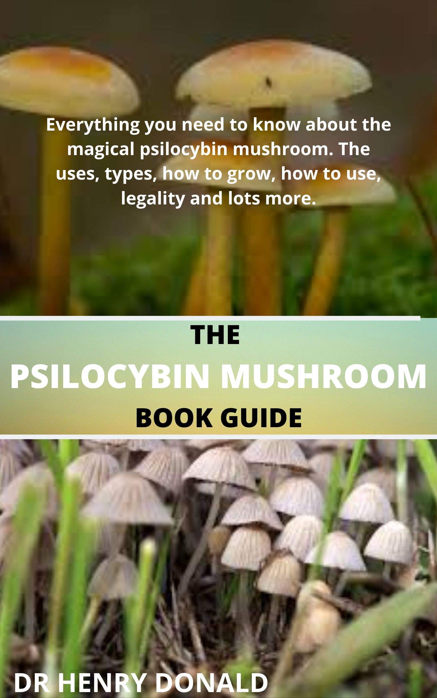 Buy THE PSILOCYBIN MUSHROOM BOOK GUIDE: Everything you need to know about the magical psilocibin ...