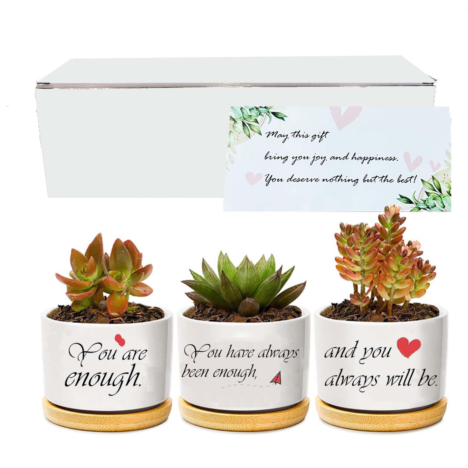 Plant Pot Gifts for Women, Ceramic Plant Pot Birthday Gifts for Women ...