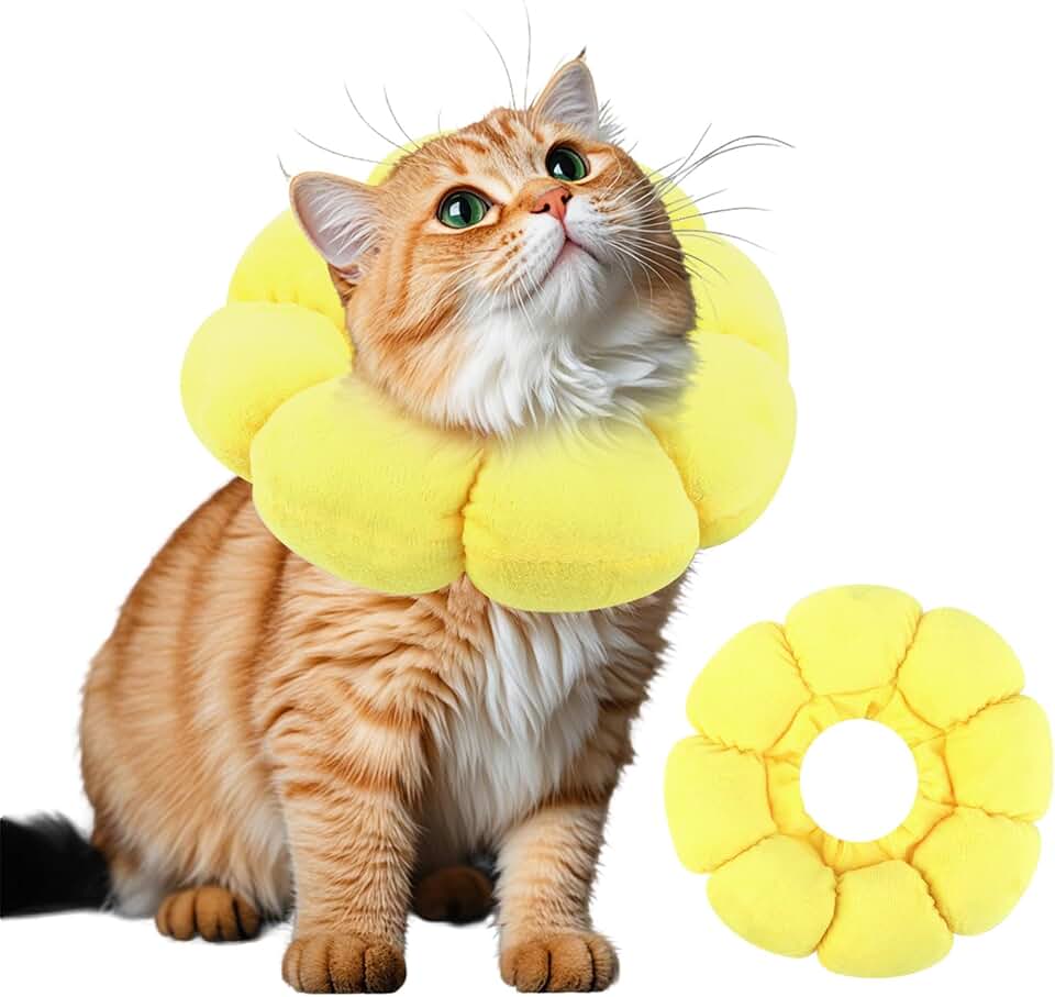 Amazon.fr : Collerettes Pour Chats - Collerettes Pour Chats / Hygiène ...