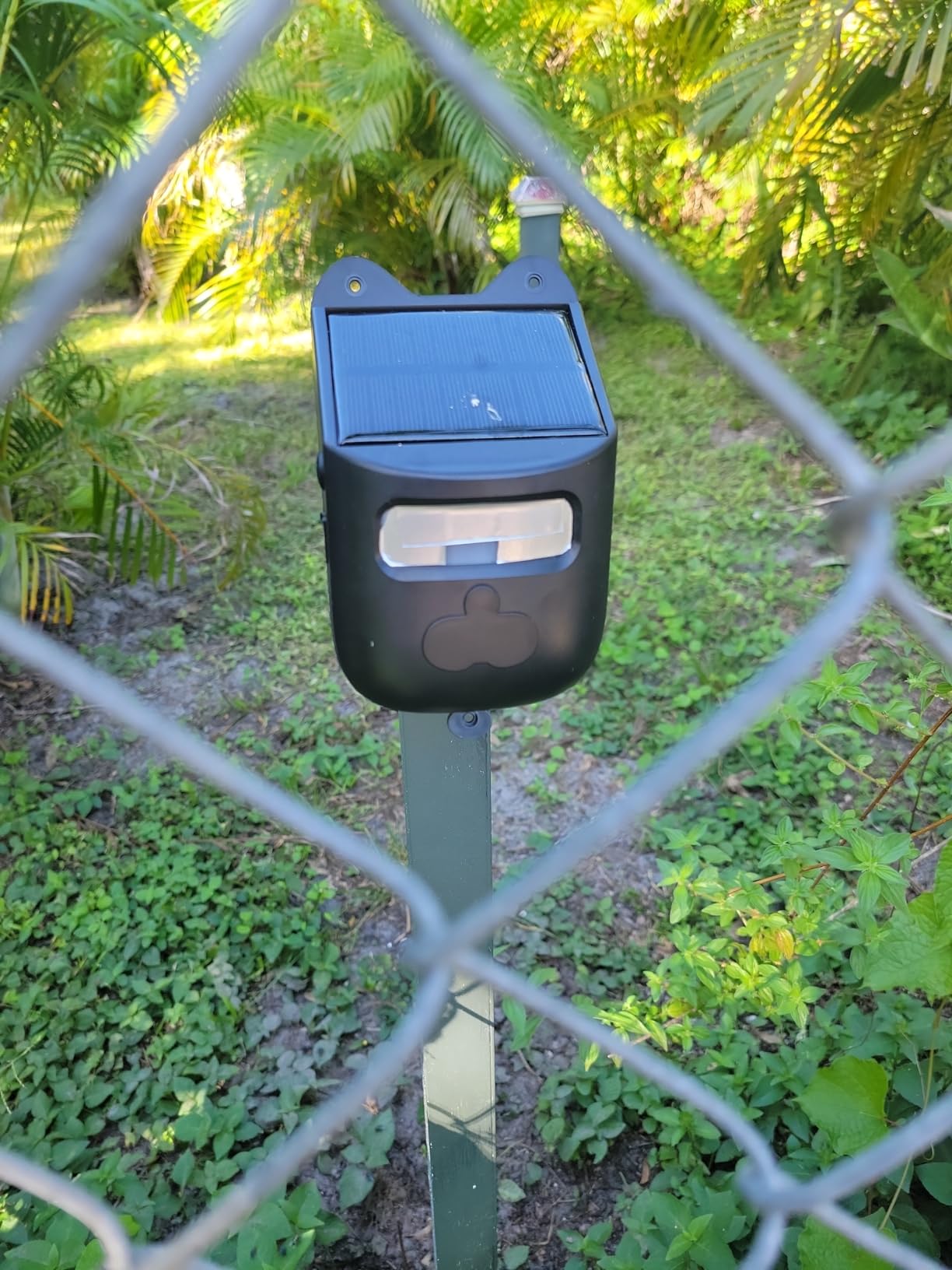 1000 Ft Driveway Monitor