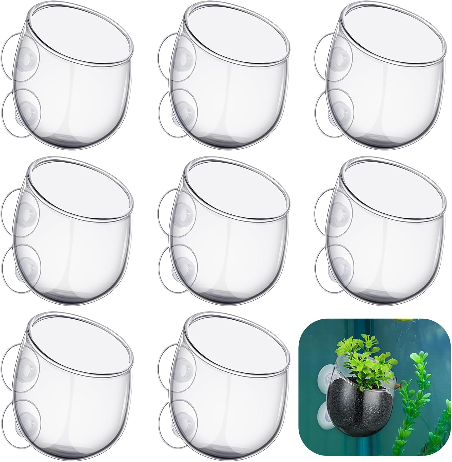 Amazon.com : Dandat 8 Pcs Aquarium Plant Holder Pot Clear Glass Aquatic ...