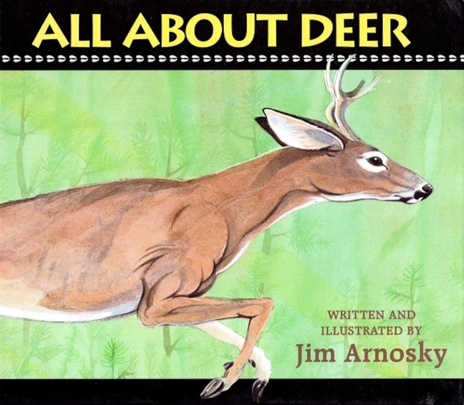 All About Deer - Kindle edition by Arnosky, Jim, Arnosky, Jim. Children ...