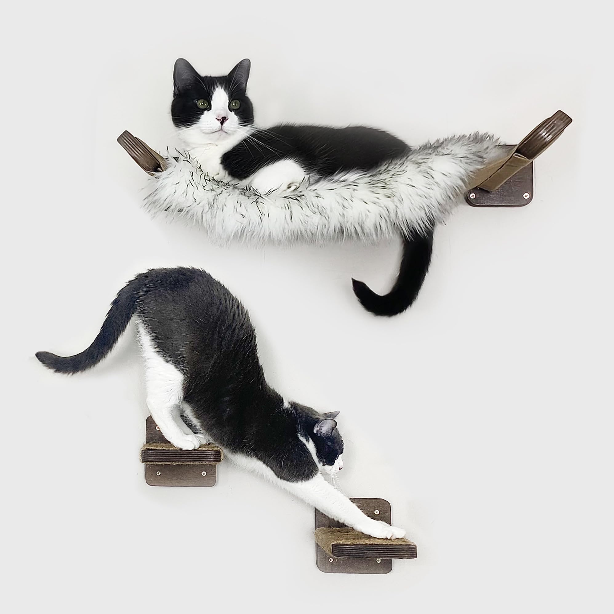 Amazon.com : KKHAN Cat Wall Shelves Wooden, Moon Cat Hammock for Wall ...