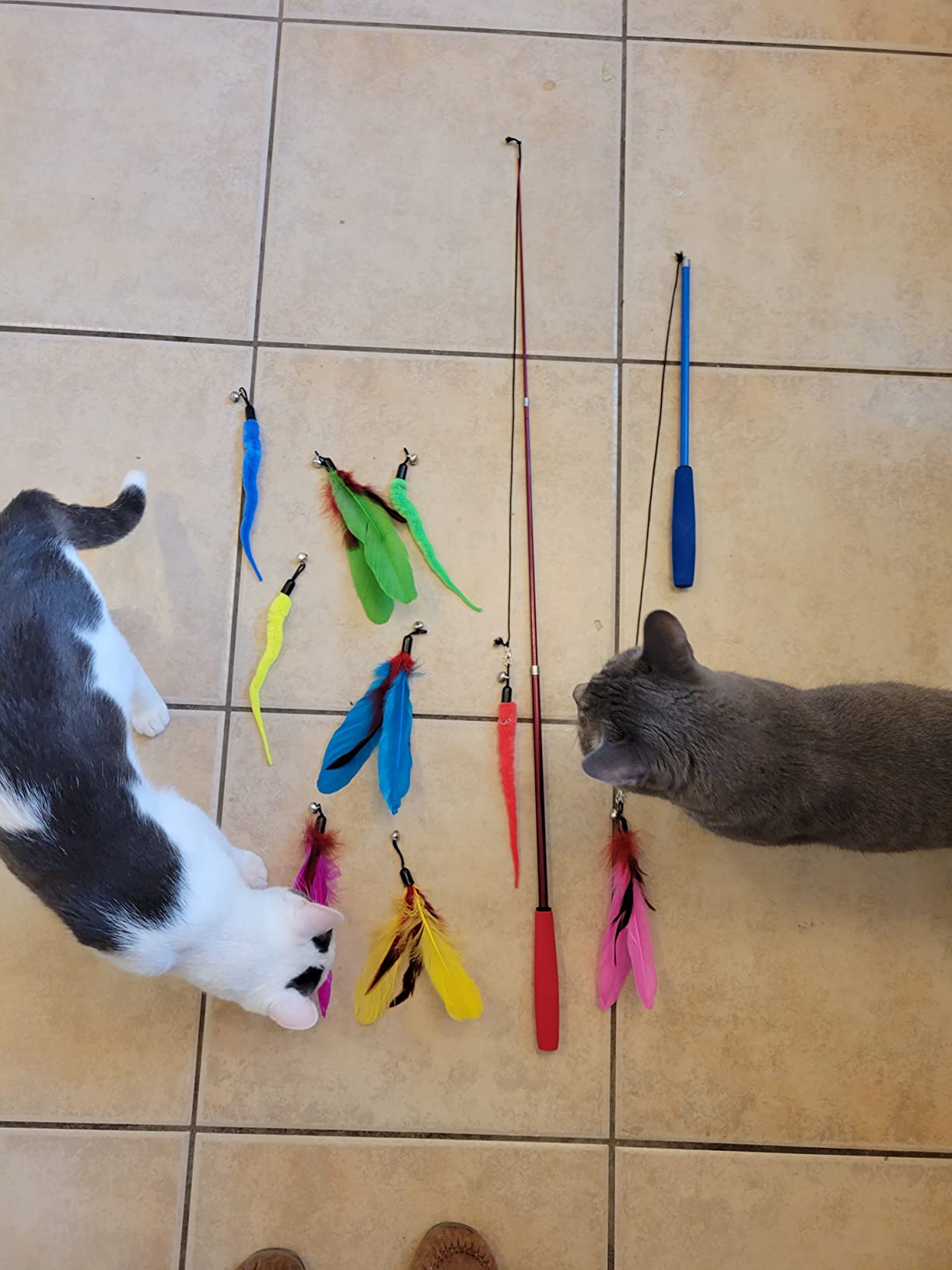 $2/mo - Finance M JJYPET Retractable Cat Toys Wand ,12 Packs ...